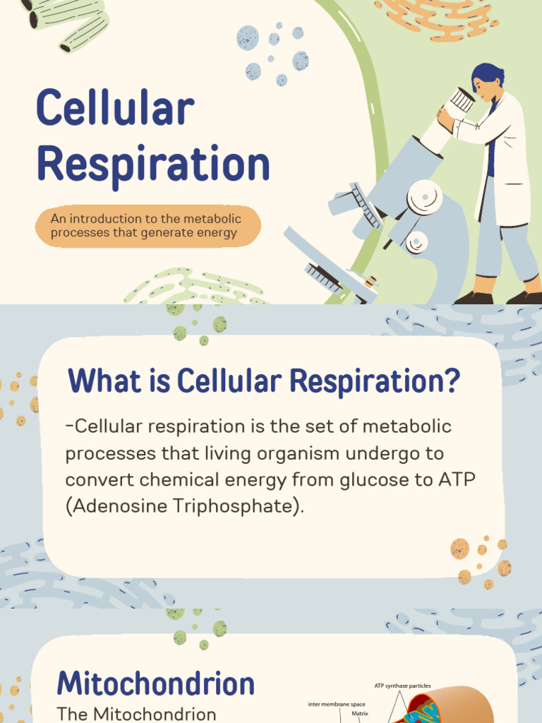 Exploring Cells in Detail Education Presentation in Hand Drawn Lightly ...