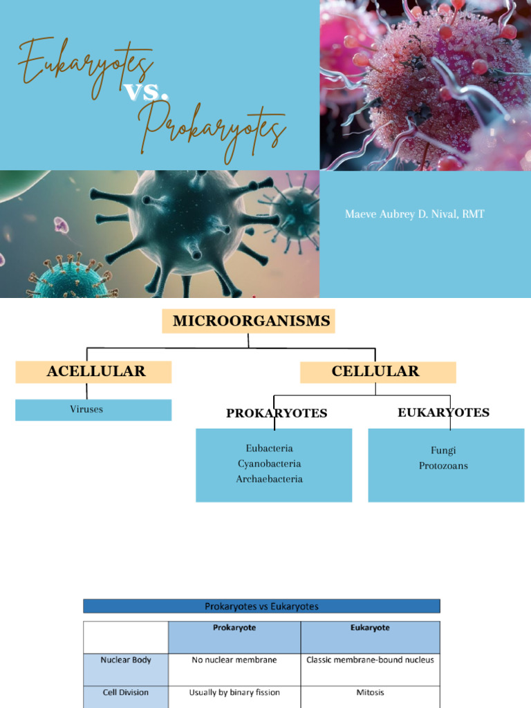 Eukaryotes vs. Prokaryotes | PDF