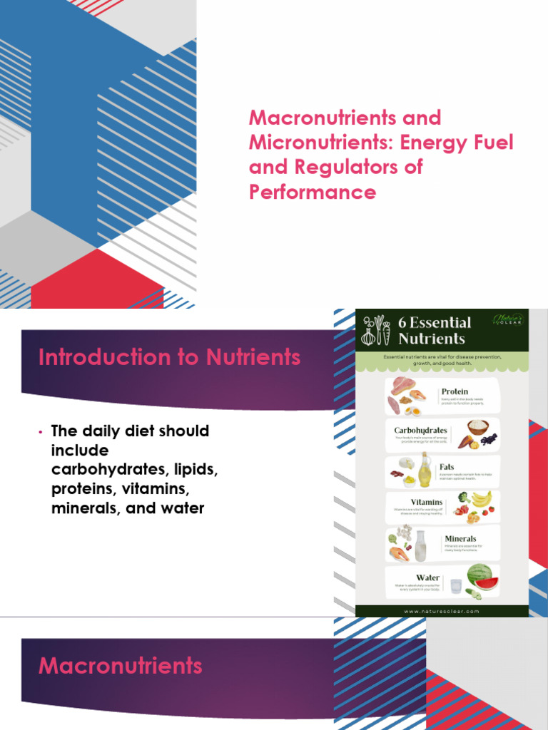 Macronutrients and Micronutrients Explained | PDF | Nutrients ...