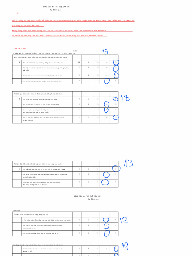 1.emotional Test.K07 VN | PDF
