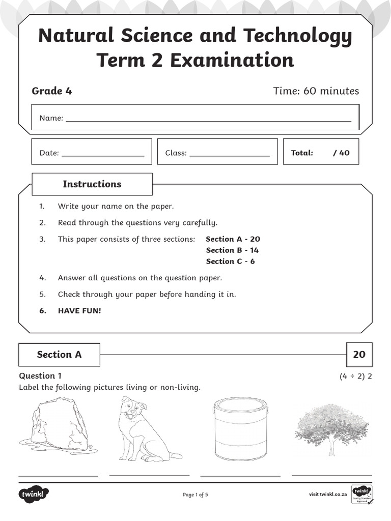 Grade 4 Natural Science Exam Guide | PDF | Paper | Water
