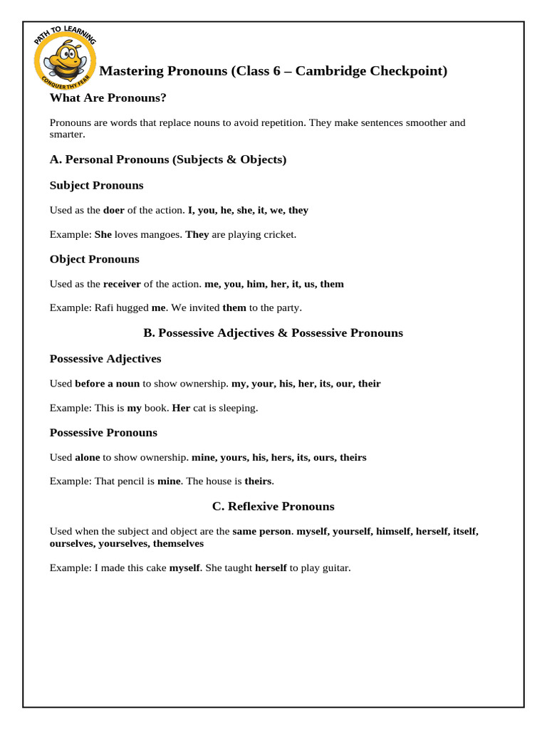 Pronouns Guide for Class 6 Students | PDF