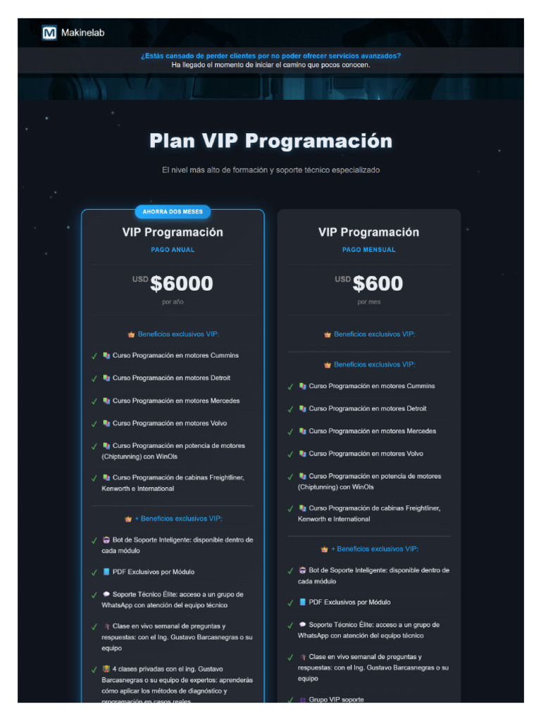 Plan Vip 2026 | PDF
