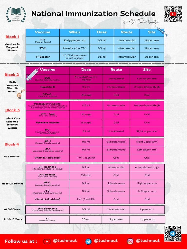 National Immunization Schedule Overview | PDF | Medical Specialties ...