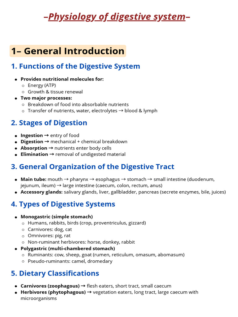Digestive System Physiology Overview | PDF | Digestion | Stomach
