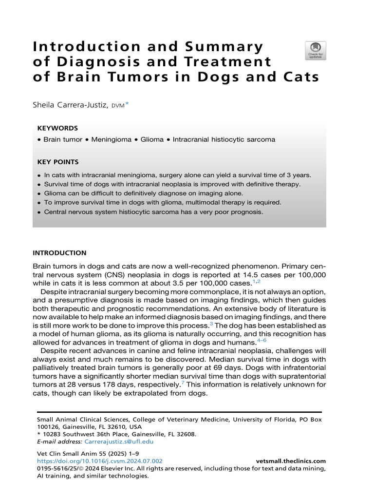 Brain Tumors in Dogs and Cats: Diagnosis & Treatment | PDF