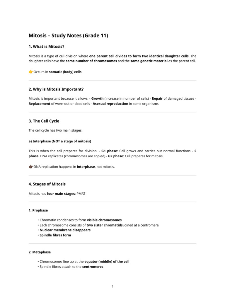 Mitosis Study Notes for Grade 11 | PDF | Mitosis | Chromosome