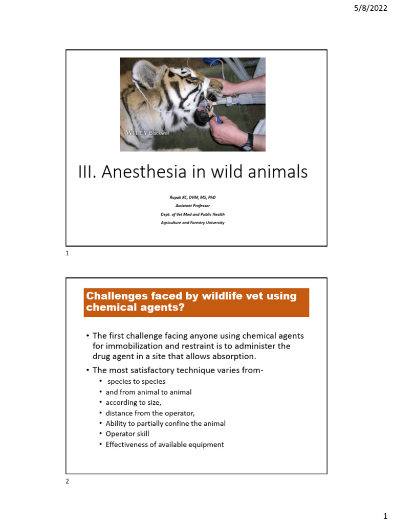 III. Anesthesia Wild Animals 2 | PDF | Skeletal Muscle | Midazolam