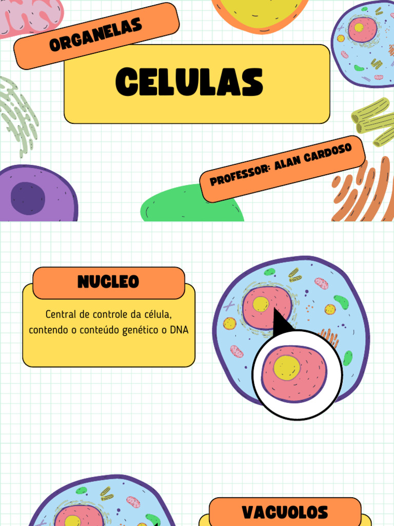 10 - Animal Cell Structure Biology Presentation in An Orange Yellow ...