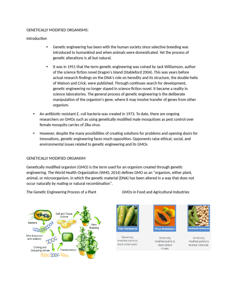 GENETICALLY MODIFIED ORGANISMS | PDF | Genetically Modified Organism ...