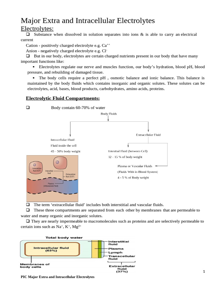 Key Functions of Major Electrolytes | PDF | Electrolyte | Buffer Solution