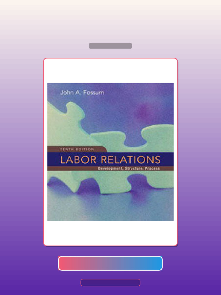 Labor Relations Development Structure Process 10th Edition Fossum E ...