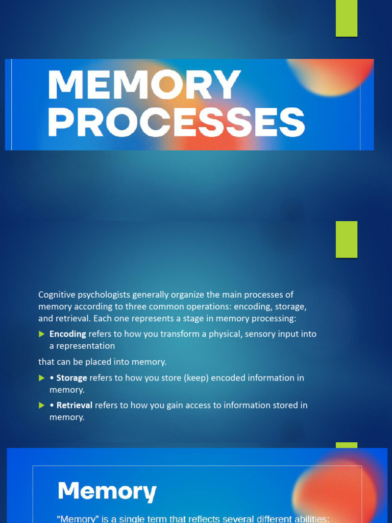 Memory Processes: Encoding, Storage, Retrieval | PDF
