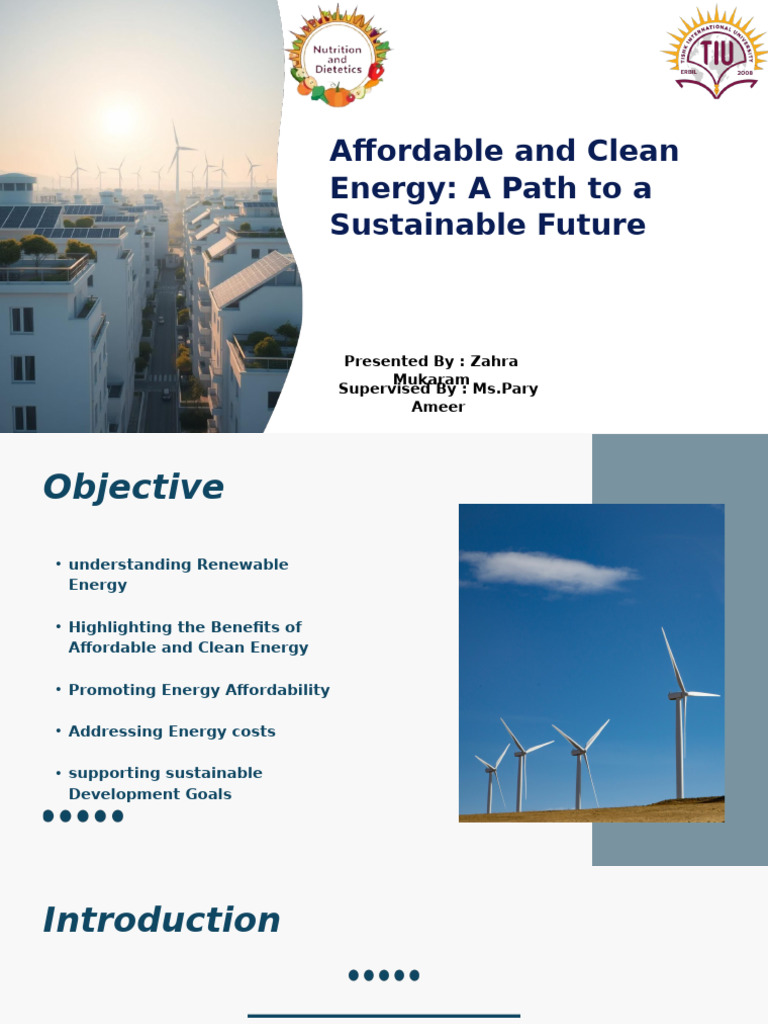Affordable and Clean Energy a Path to a Sustainable Future.pptx 20250421 071135 0000 | PDF
