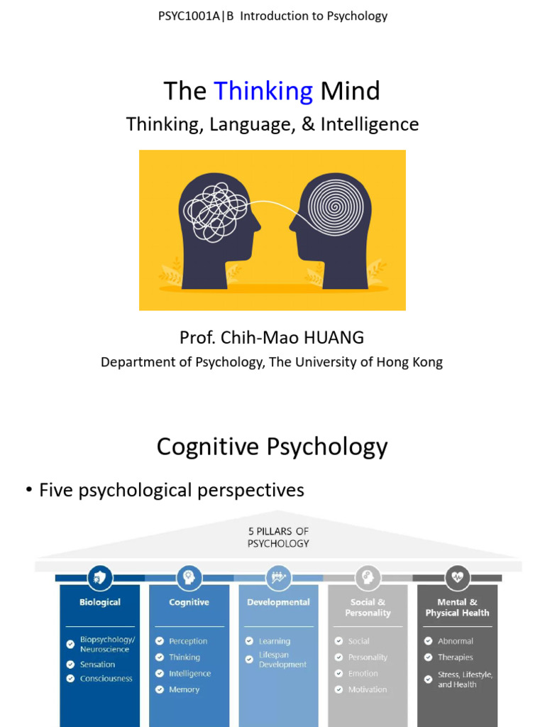 Cognitive Psychology: Thinking & Language | PDF | Intelligence Quotient ...