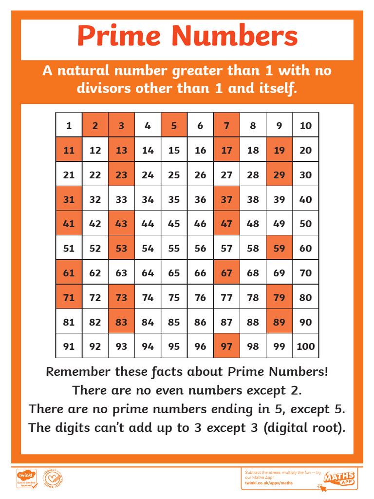 Understanding Prime Numbers Basics | PDF