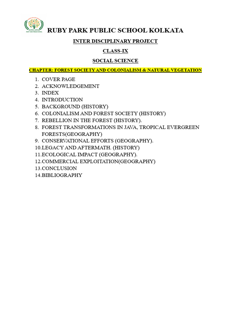 Inter Disciplinary Project- Ssc 9 (1) | PDF