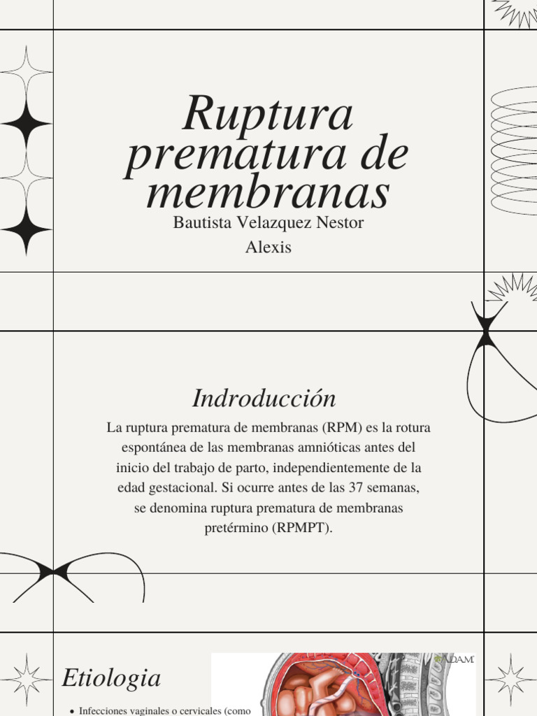 Presentación de Proyecto Moderna Aesthetic Minimalista Simple Blanco y ...