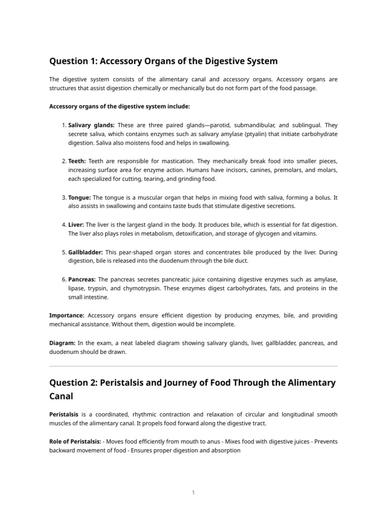 Basic Anatomy - Final Exam Solutions | PDF | Digestion | Human ...