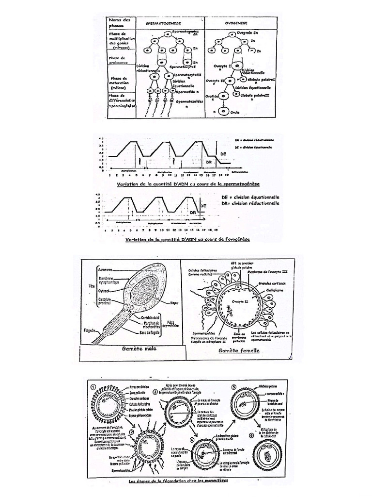 CamScanner 04-01-2026 20.53 | PDF