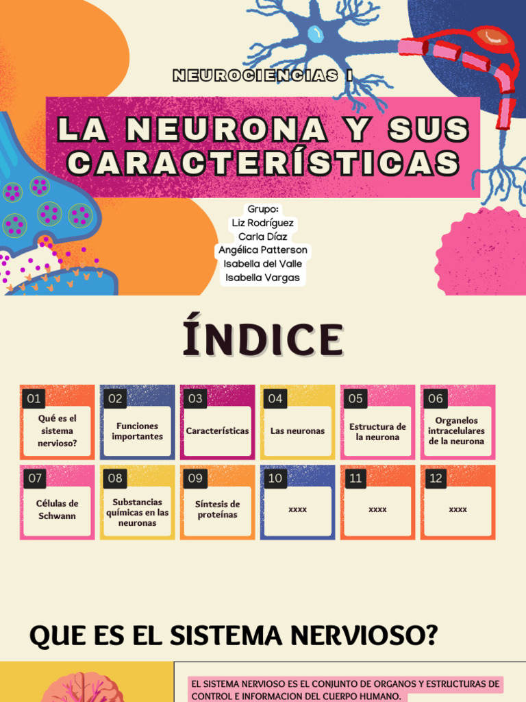 Neurociencias tema 3 | PDF | Neurona | Sistema nervioso