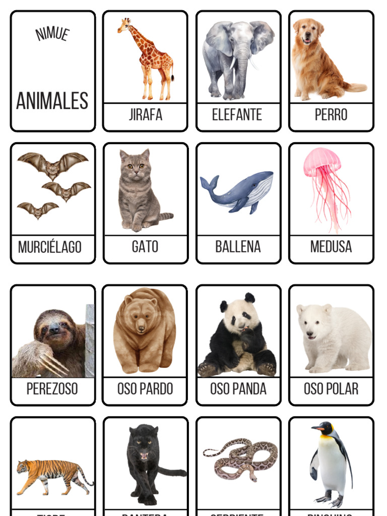 Copia de Colors in the Rainbow Flash Card Colorful Simple_20250311 ...