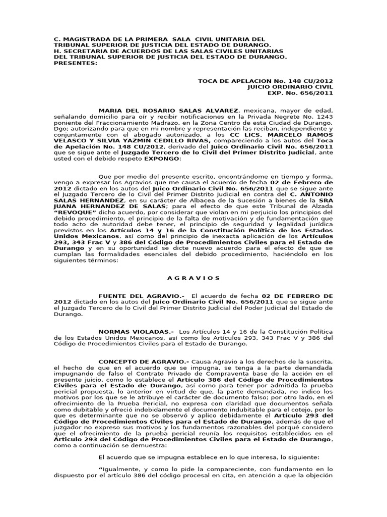 AGRAVIOS SRA SALAS APELACION | PDF | Apelación | Testigo experto