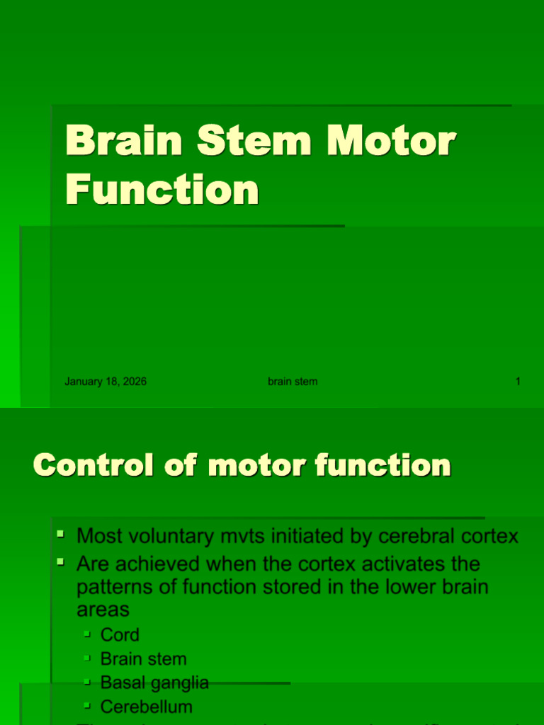 Brain Stem 2026 | PDF