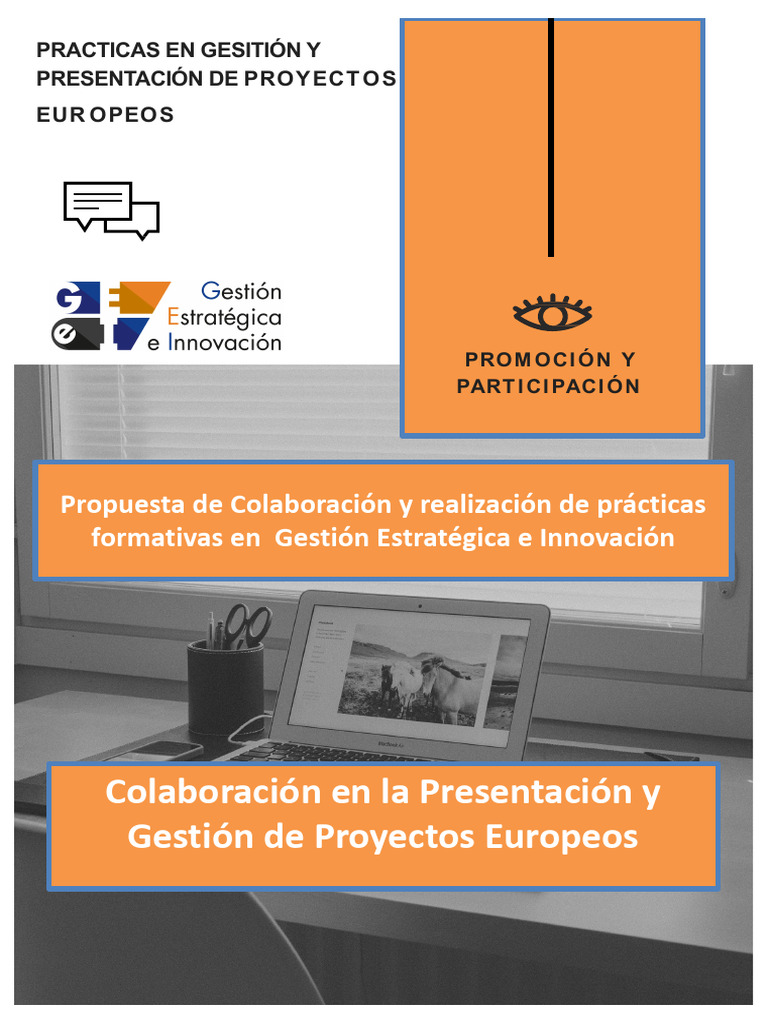 Informe Colaboracion Proyectos Europeos | PDF | Negocios económicos | Business