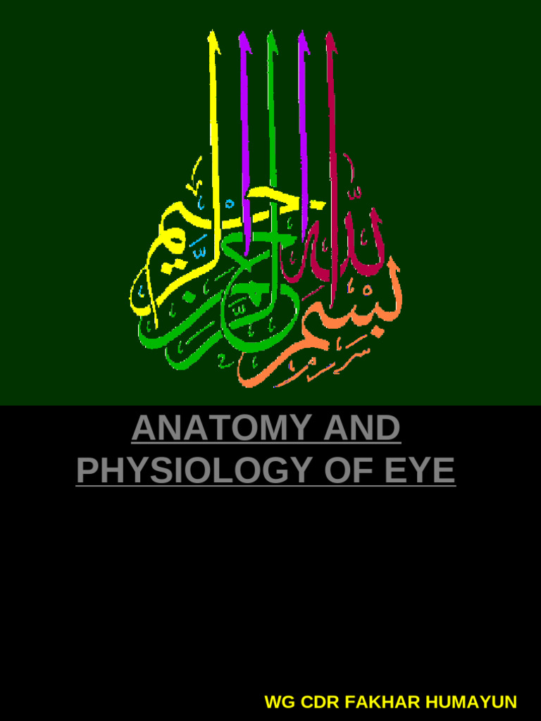 Eye Anatomy and Physiology Overview | PDF | Retina | Visual System
