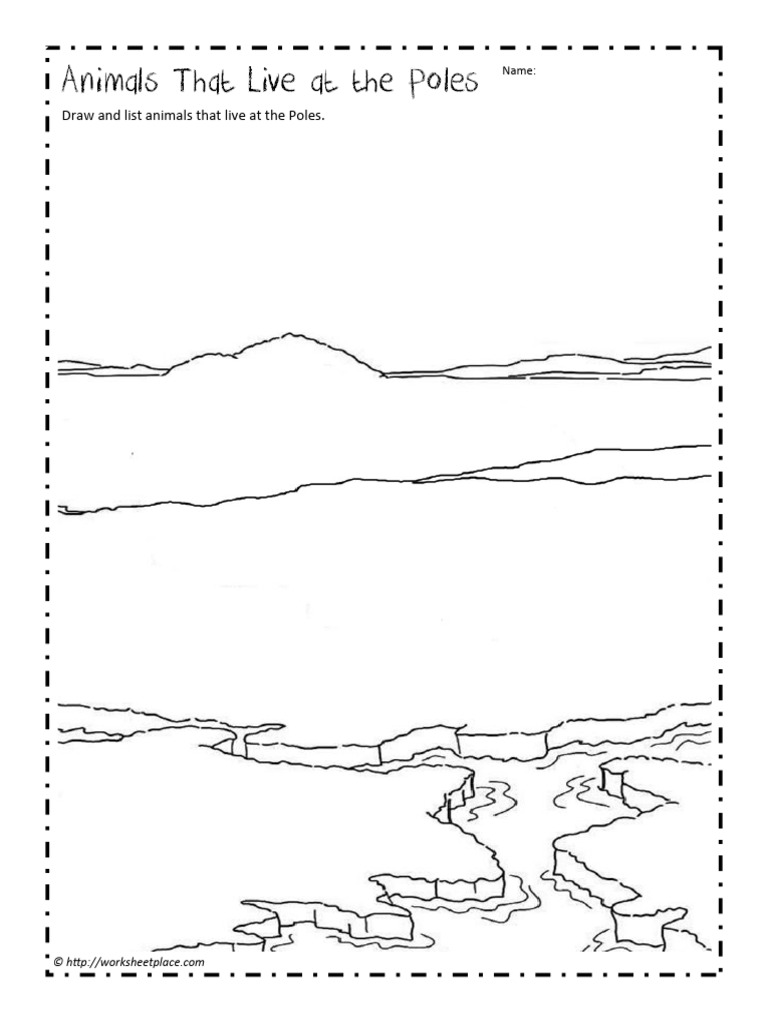 Polar Animals Worksheet | PDF