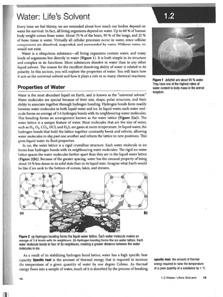 Properties and Importance of Water | PDF | Water | Properties Of Water