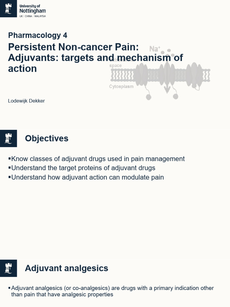 4 Adjuvants- Targets and Mechanism of Action | PDF | Analgesic ...
