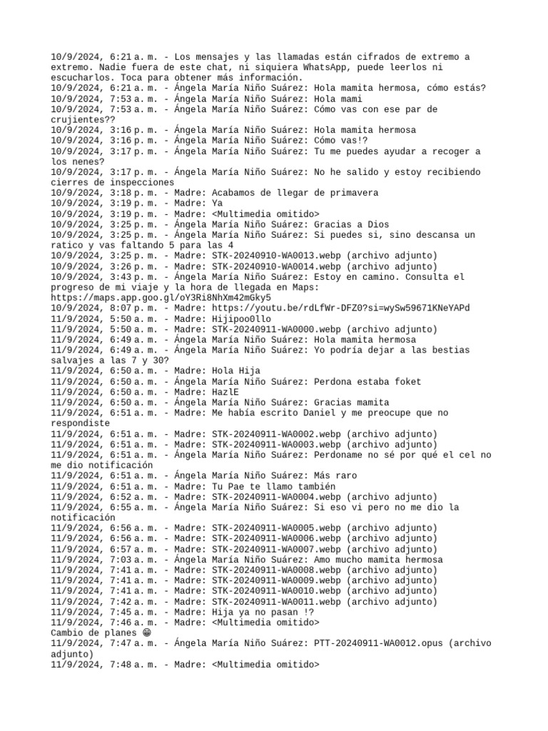 Chat de WhatsApp Con Madre | PDF