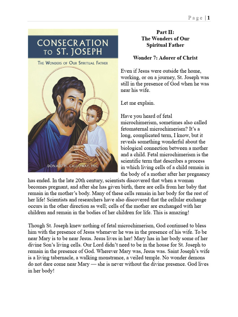 Fetomaternal Microchimerism | PDF | Mary, Mother Of Jesus