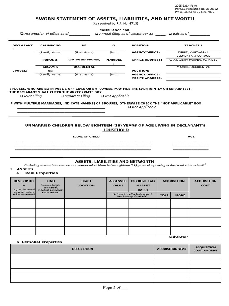 Newtemplate Saln Form For 2025 | PDF