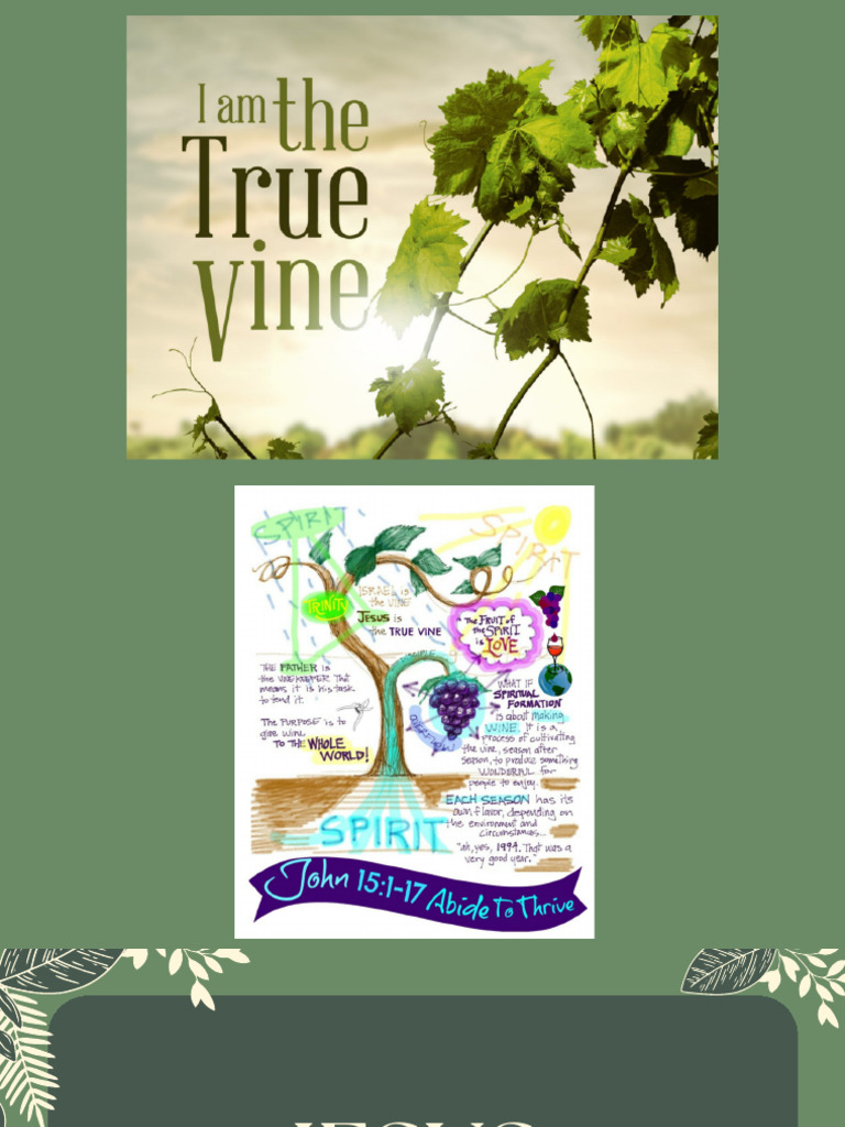 JESUS The True Vine | PDF
