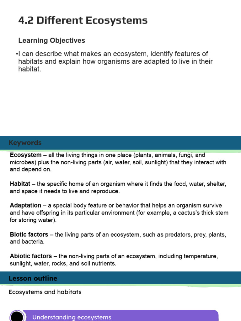 4.2 Different Ecosystems | PDF | Ecosystem | Habitat