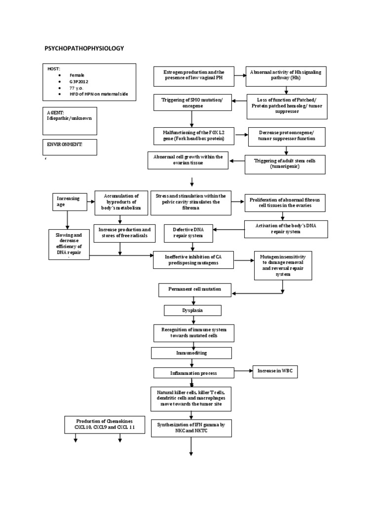 Myoma Patho | Neoplasms | Ovary