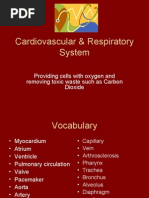 Gummy Bear Lab | PDF | Anatomical Terms Of Location | Animal Physiology