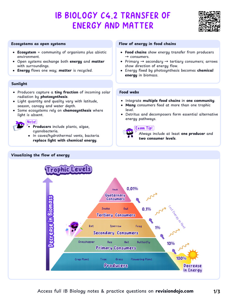 Biology C4.2 Transfer of Energy and Matter Cheatsheet | PDF | Food Web ...