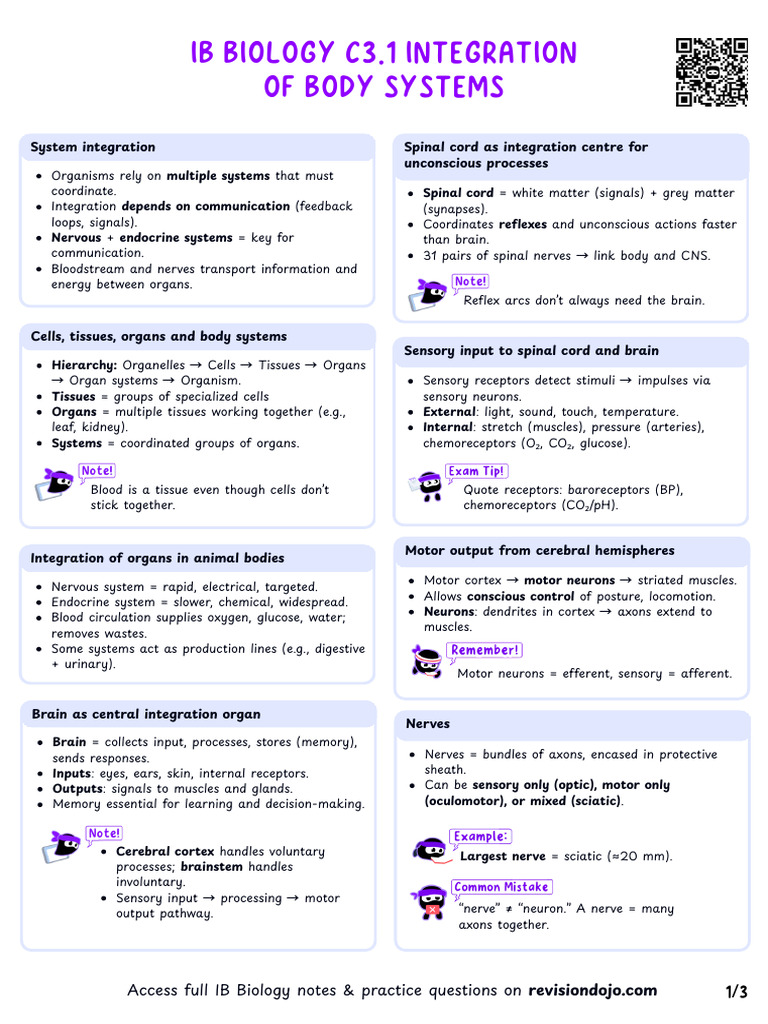Biology C3.1 Integration of Body Systems Cheatsheet | PDF | Auxin ...