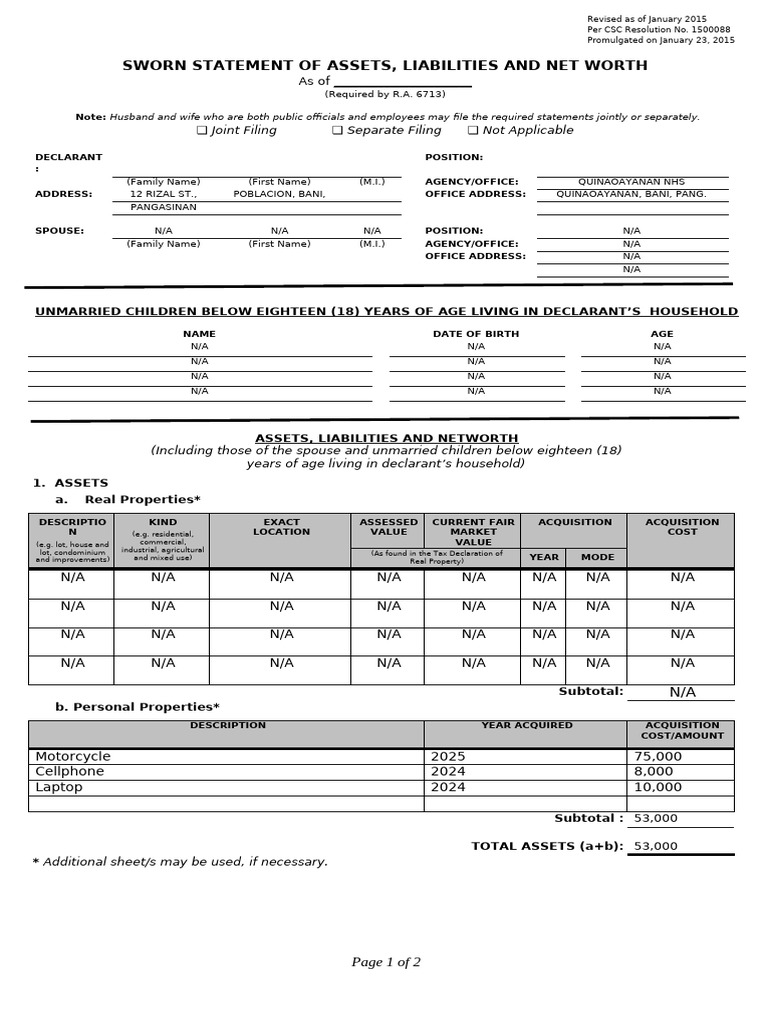 SALN Form | PDF