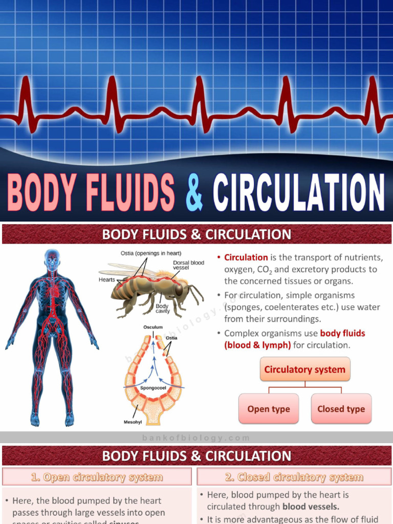 18 Body Fluids N Circulation - Picture Slides - Demo - PPTX - Google ...