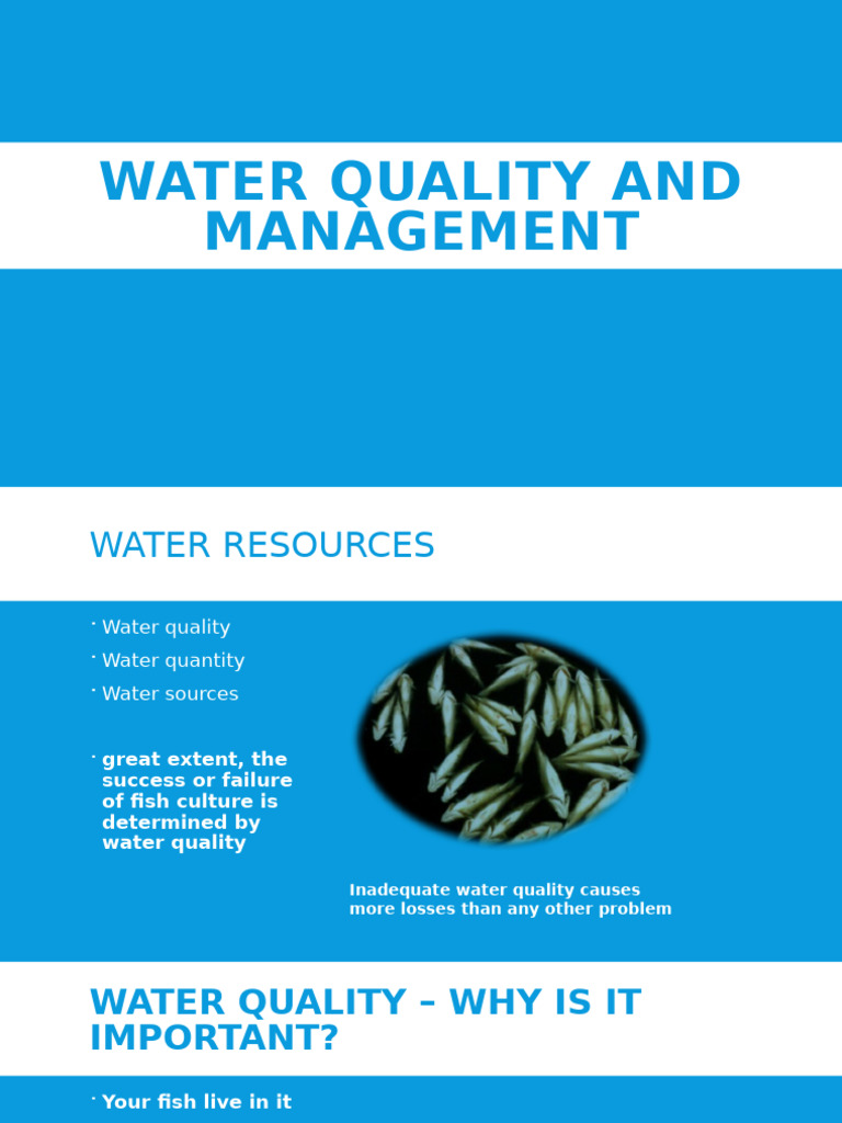 Water Quality Management | PDF | Water | Nitrate