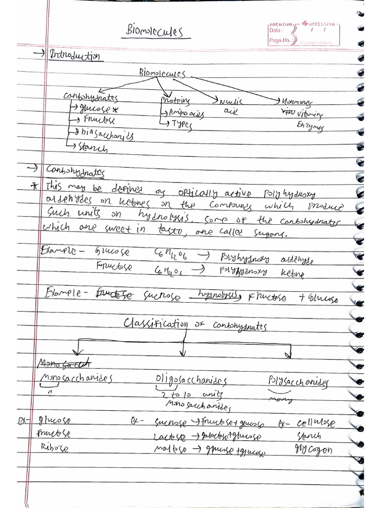 Biomolecules Short Notes | PDF