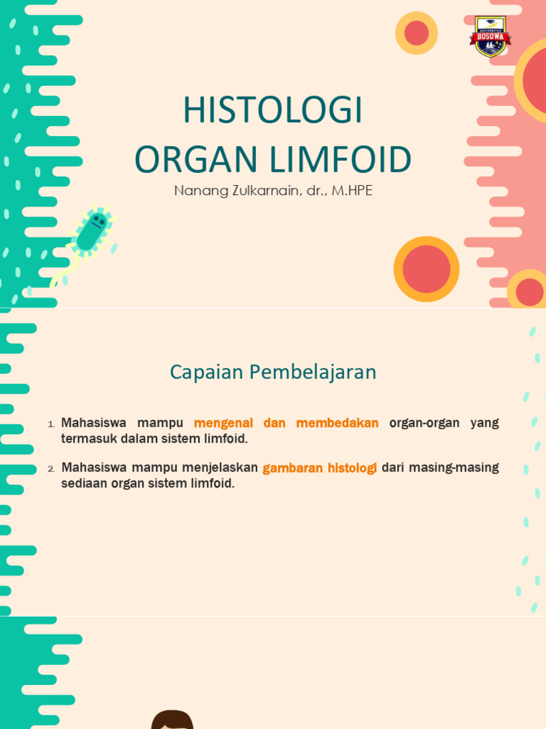 Histologi Organ Limfoid (DR Nanang Zulkarnain) | PDF