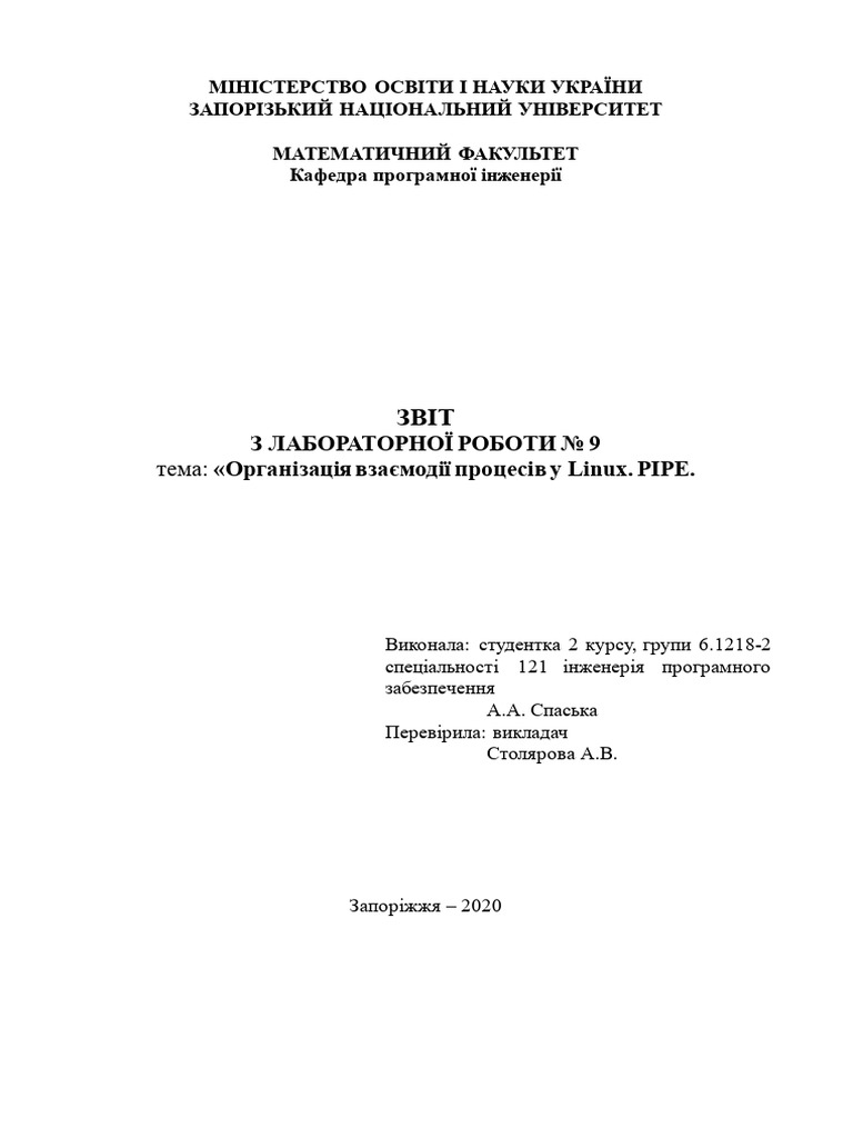 OS Lab9 Spaska Report | PDF