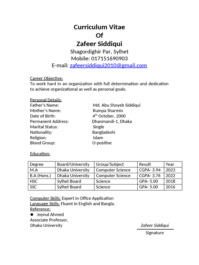 Curriculum Vitae ICT | PDF
