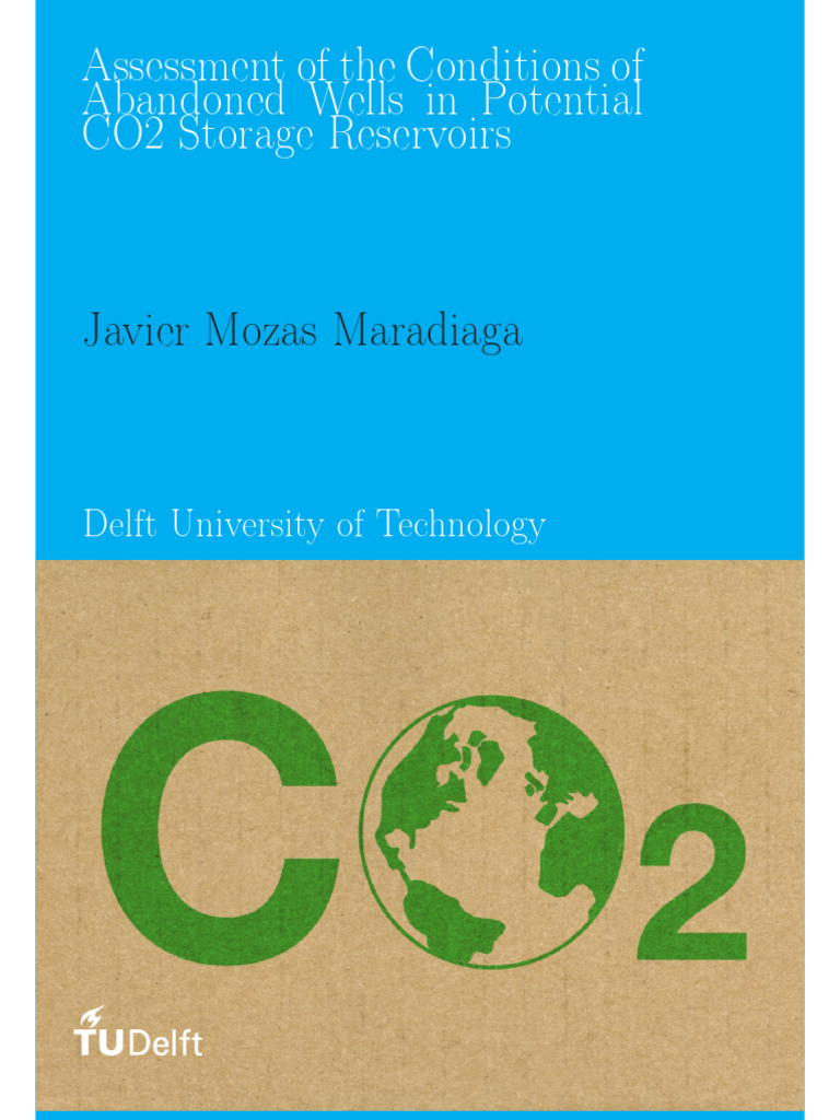 Assessment of the Conditions of Abandoned Wells in Potential CO2 ...